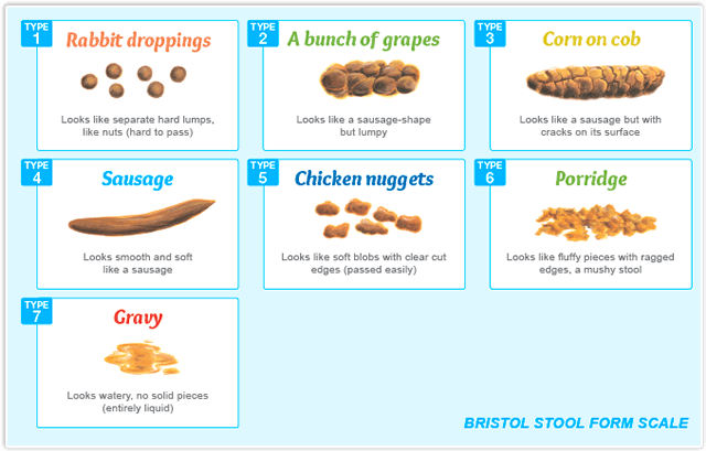 Dit zegt je ontlasting over je gezondheid! Welk type ontlasting heb jij ...