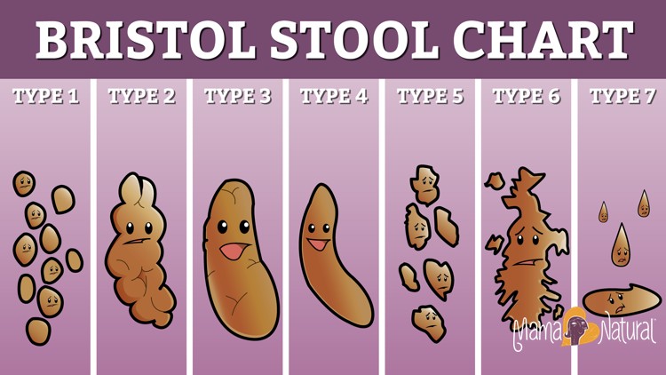 Dit zegt je ontlasting over je gezondheid! Welk type ontlasting heb jij ...