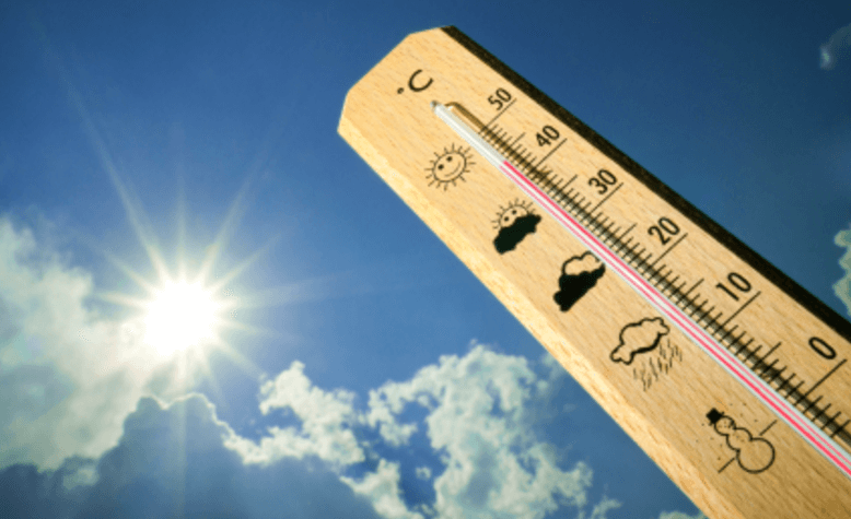 Het wordt vanaf vandaag weer tropisch warm en ZO overleef je het ...