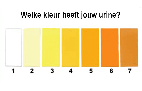 DIT zegt de kleur van jouw urine over je gezondheid! DIT zegt de kleur van jouw urine over je gezondheid!